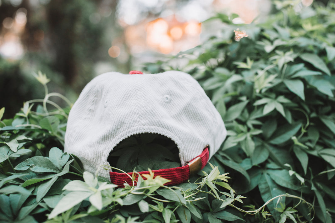 Neat Cord Hats – Neat Animal Hats